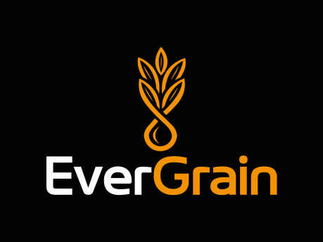 Logo ve Kartvizit Tasarımı yarışması | Evergrain Llc Yarışma Sunumları ...
