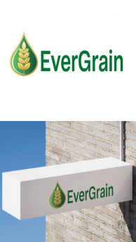 Logo ve Kartvizit Tasarımı yarışması | Evergrain Llc Yarışma Sunumları ...